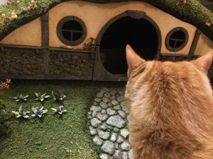 Frodo The Cat With His Own Hobbit Home