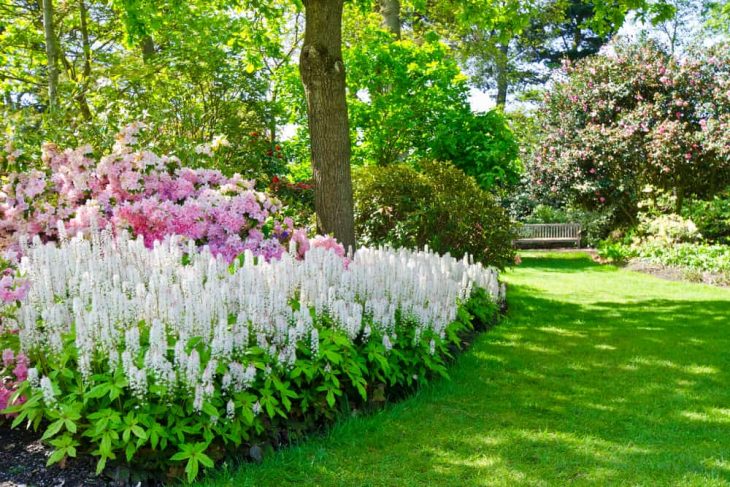 Top 30 Shade Garden Design Ideas